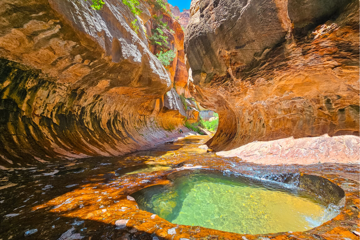 How to Hike the Subway, Zion National Park’s Best Hike: The Ultimate Hiking Guide for the Bottom ...